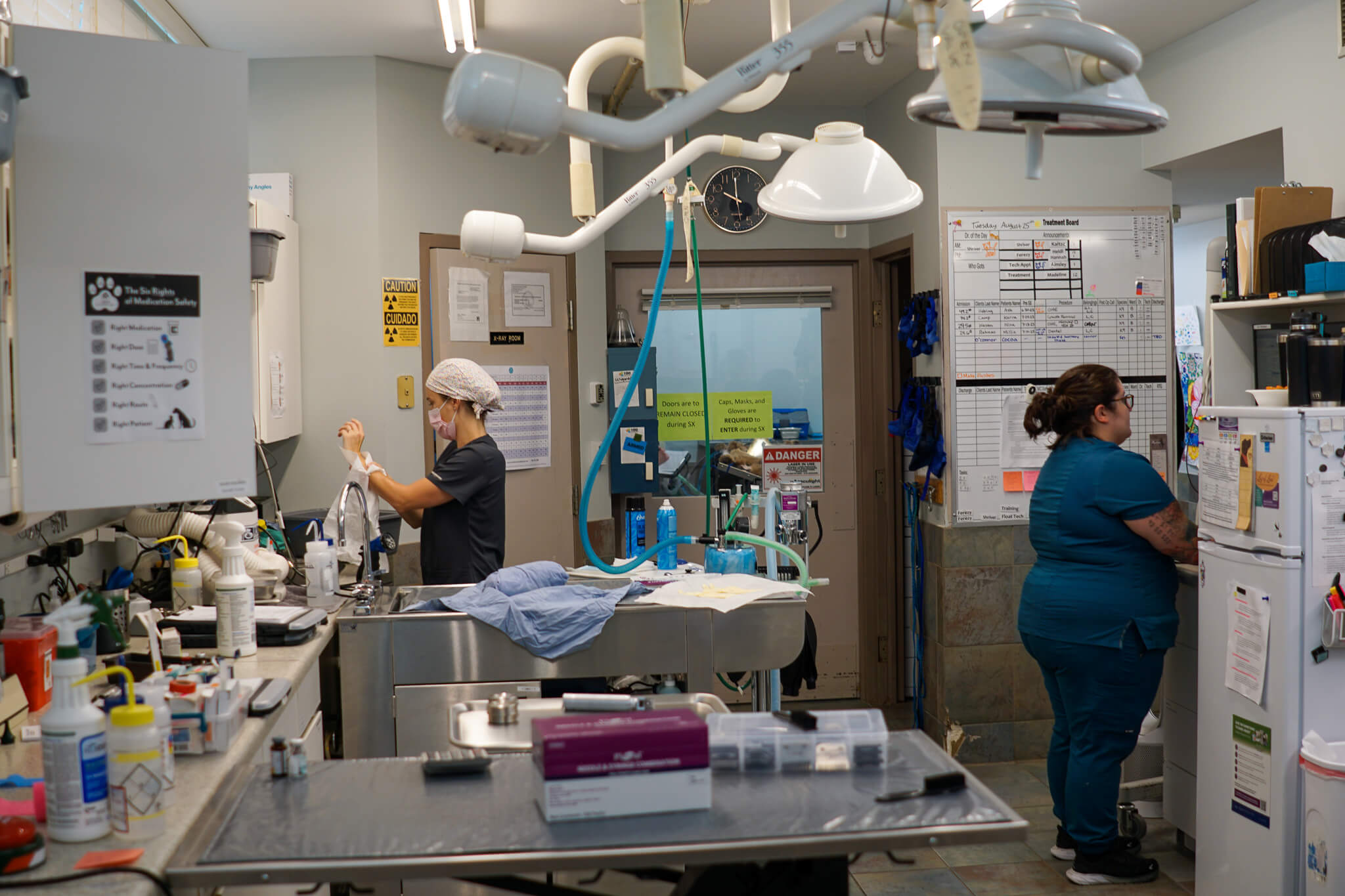 Animal Diagnostics - Excelsior Animal Hospital