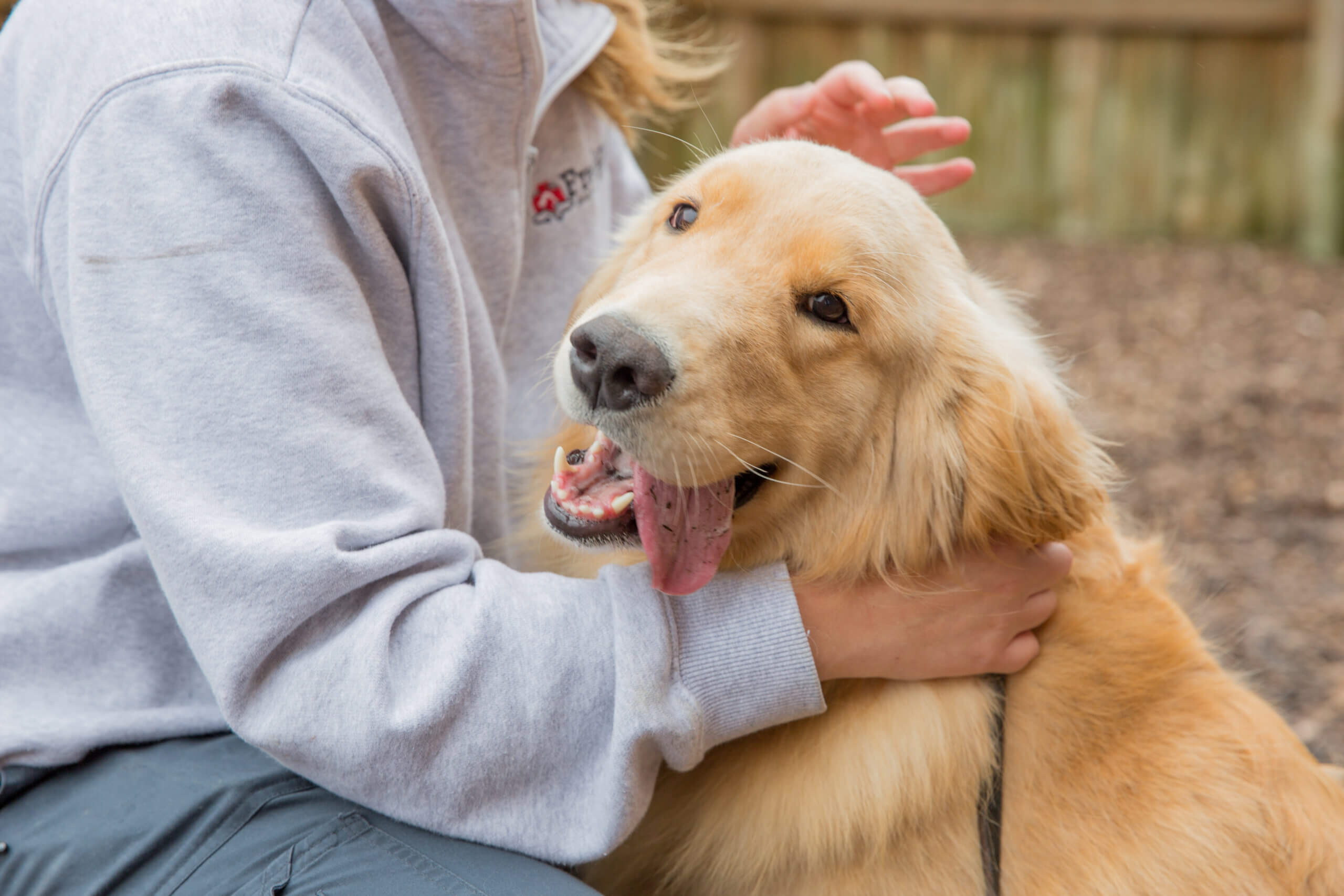 Veterinary Staff - Excelsior Animal Hospital