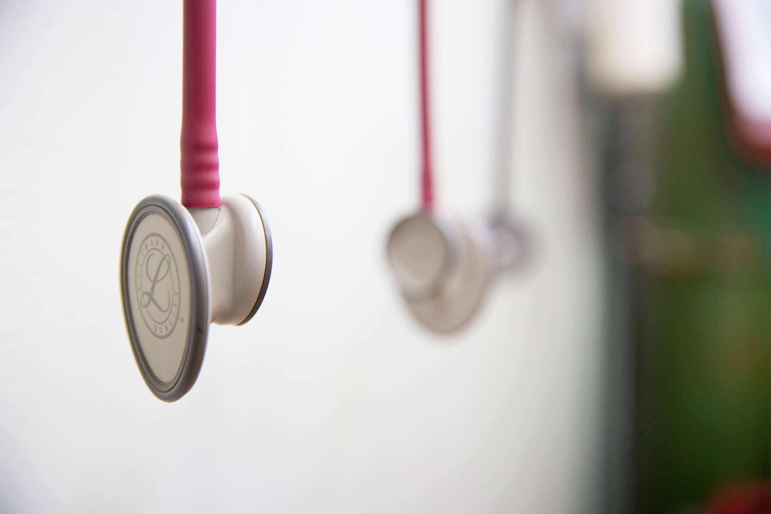 Medical History - Excelsior Animal Hospital