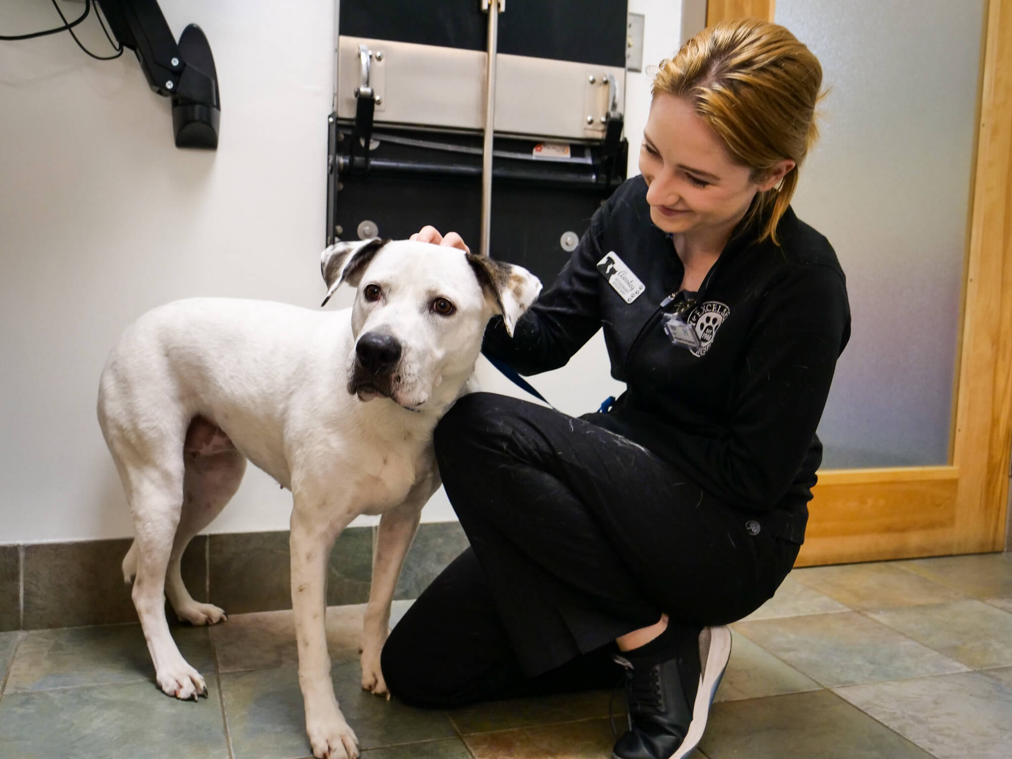 Veterinary Referral Center - Excelsior Animal Hospital