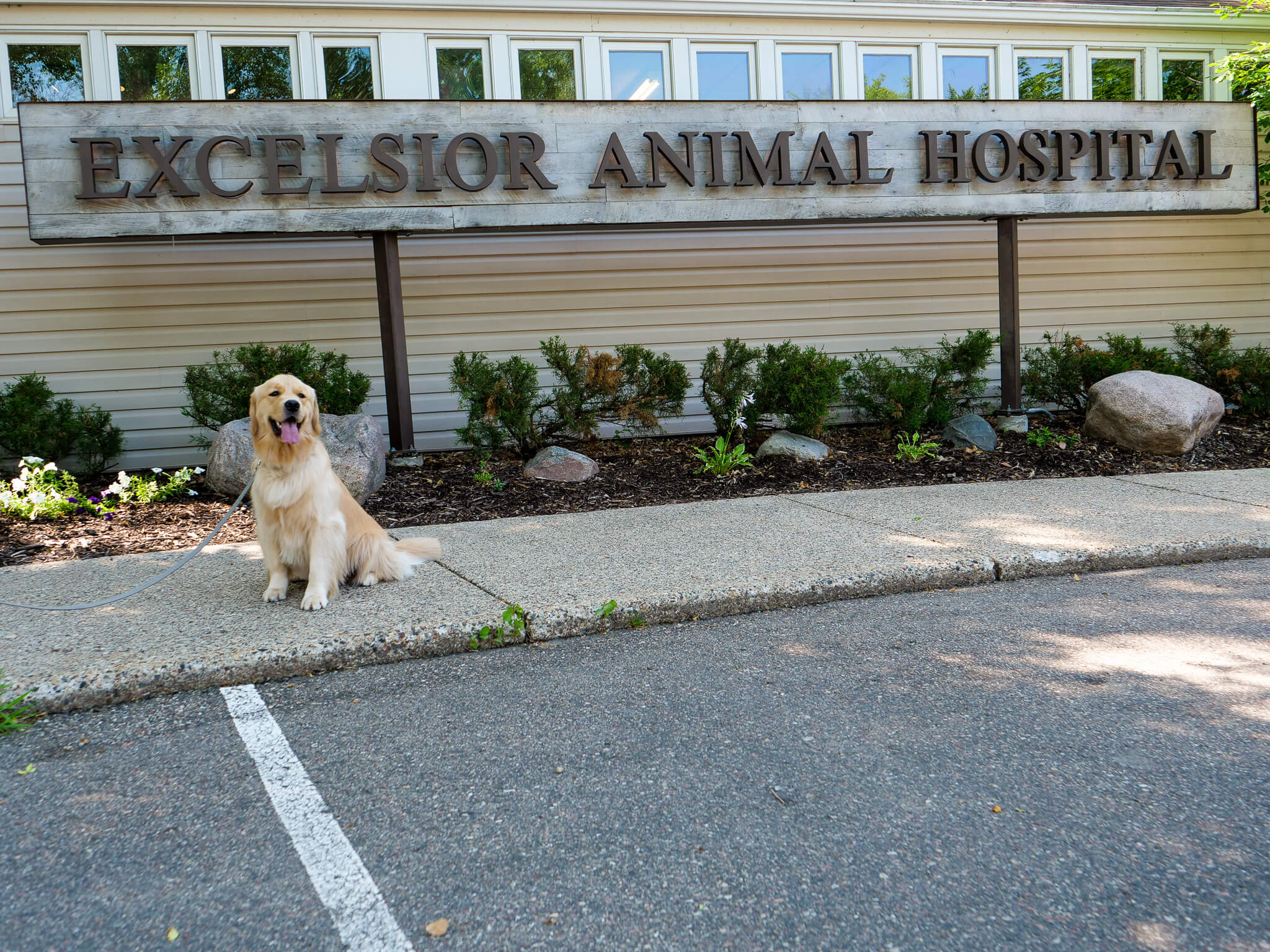 Pet Health App - Excelsior Animal Hospital